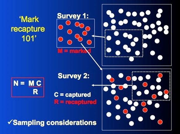 SPLASH QUESTIONS: Activity 3 - https://cascadiaresearch.org