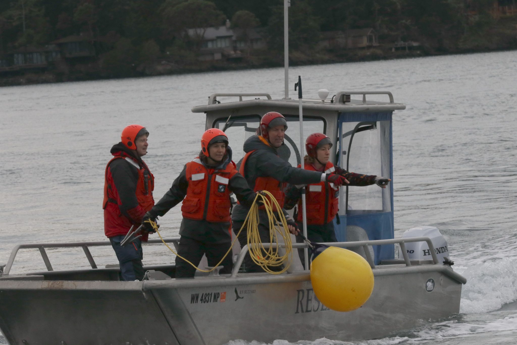 140 feet of Fishing Gear Removed from Humpback Whale in the Strait of Juan de Fuca - https ...