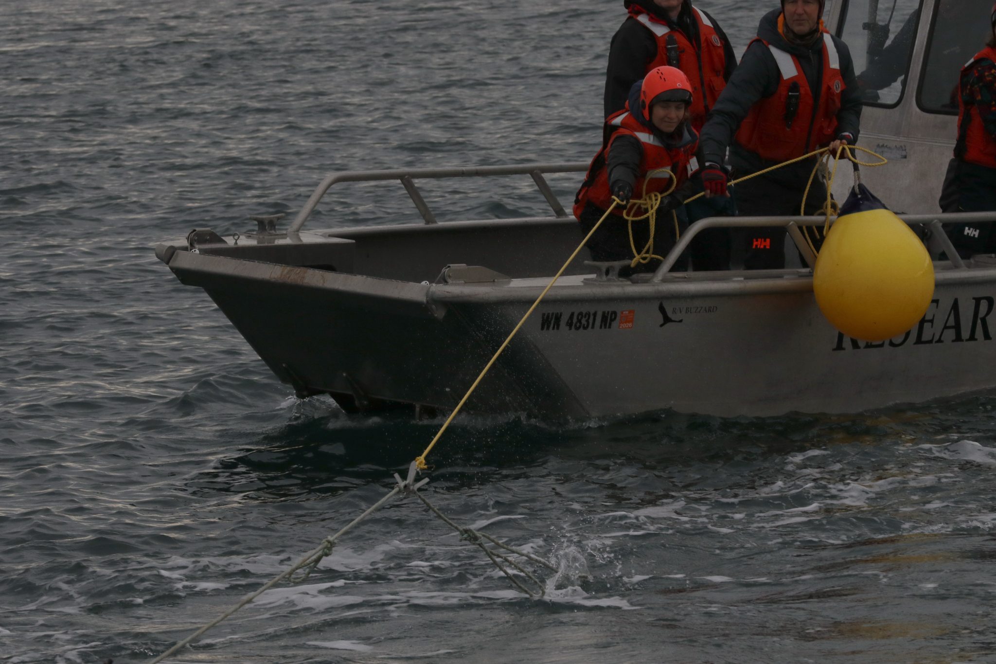 140 feet of Fishing Gear Removed from Humpback Whale in the Strait of Juan de Fuca - https ...