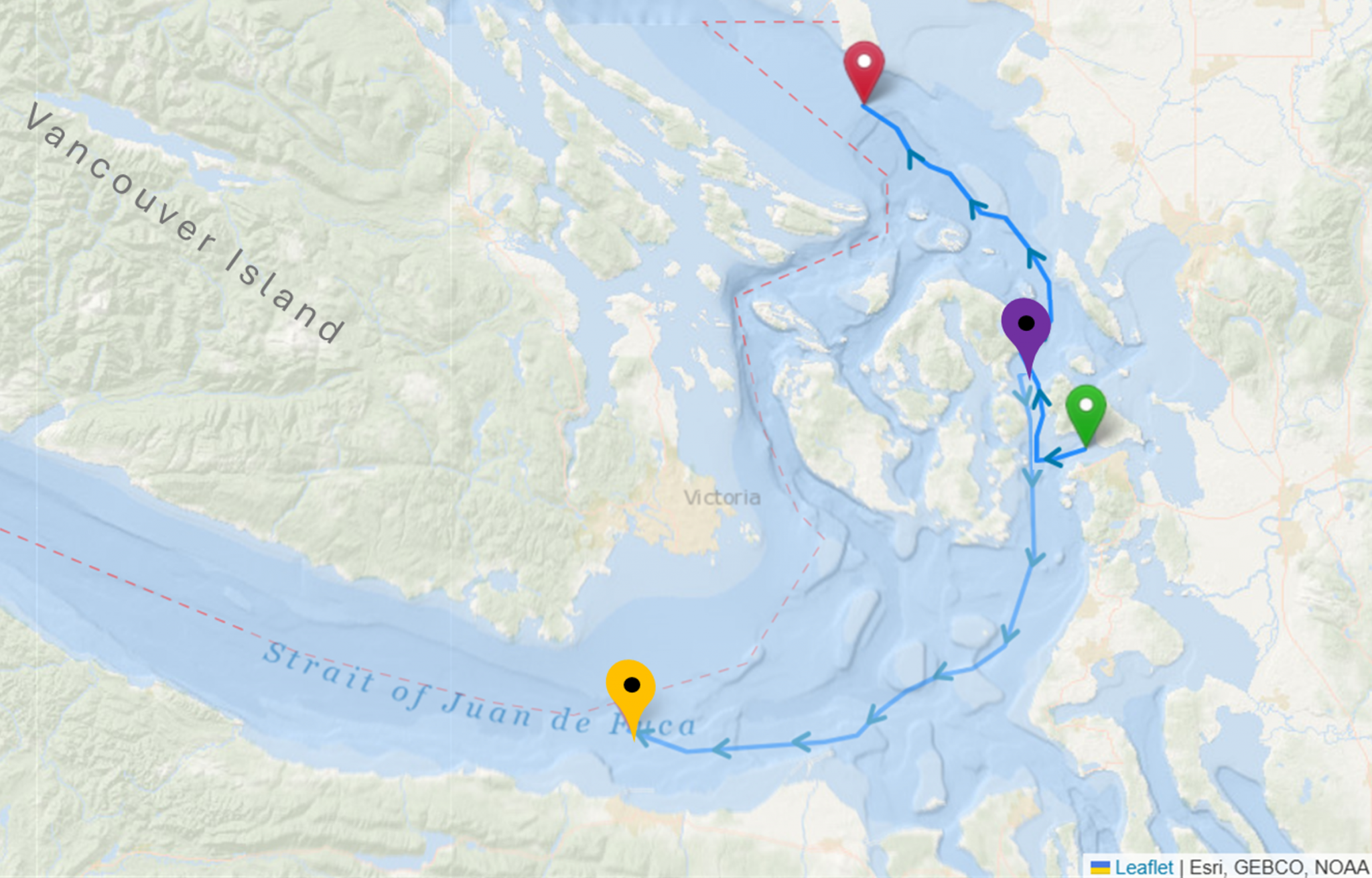 Young Humpback Whale “Starry Knight” Freed from Second Entanglement in ...